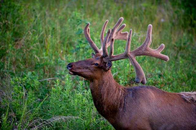 Family Fun & Activities - Visit Kentucky Lake