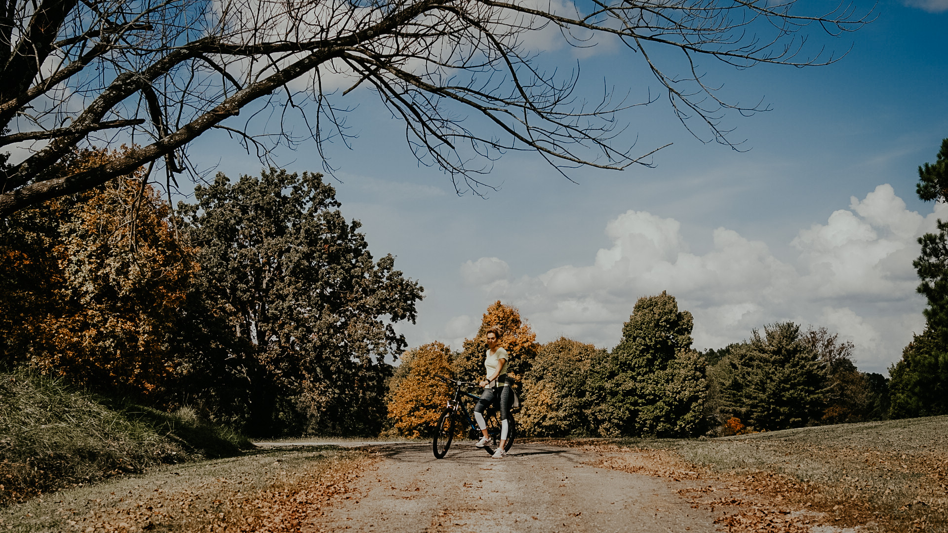 Fall Adventures Around Kentucky Lake: Your Guide to Events & Outdoor Fun