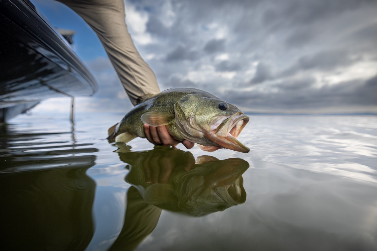 Fishing at Kentucky Lake - Visit Kentucky Lake