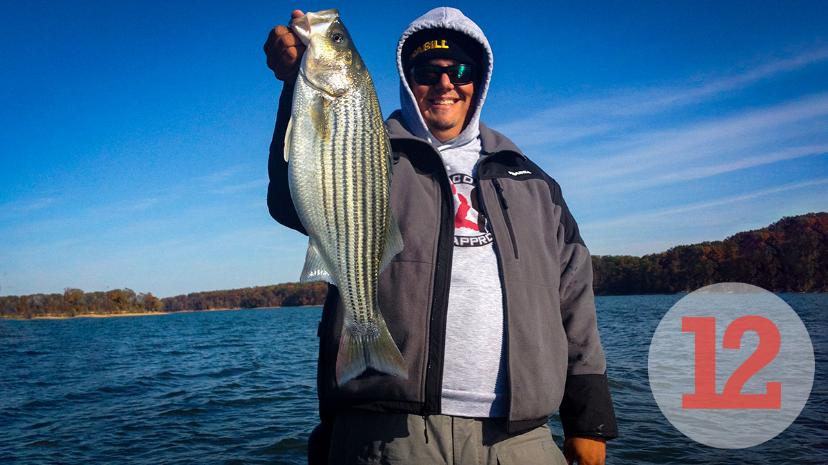 December Fishing on Kentucky & Barkley Lakes - Visit Kentucky Lake