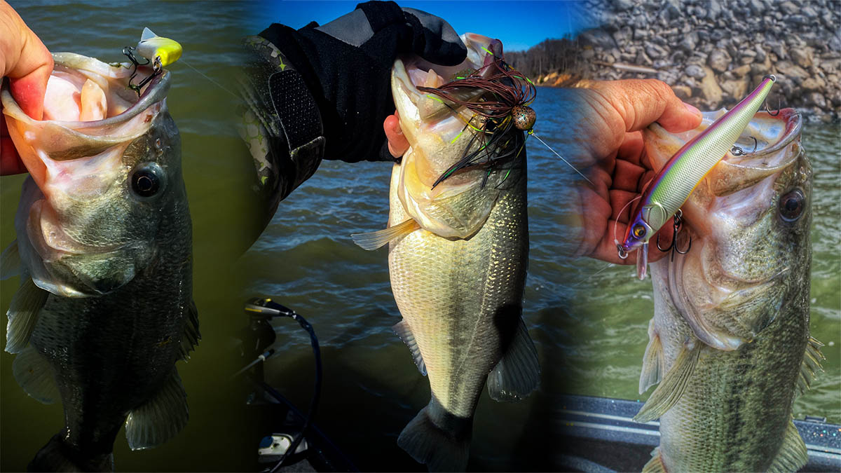 February Fishing on Kentucky & Barkley Lakes - Visit Kentucky Lake