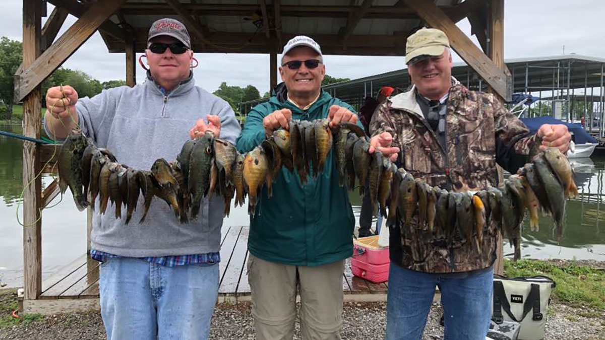 Why to Hire a Fishing Guide - Visit Kentucky Lake